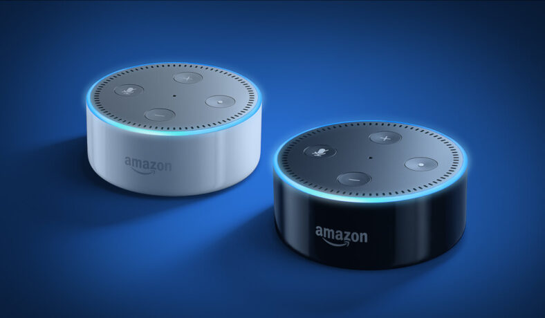Tipos De Alexa Diferencia Entre Los 11 Modelos En 2025