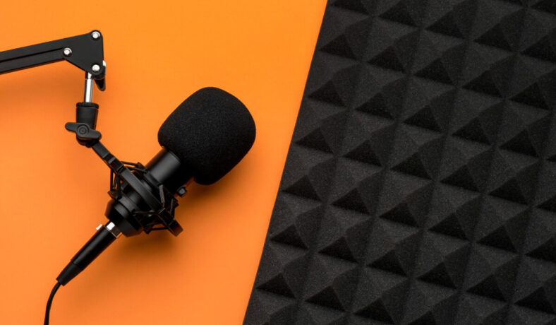 Los 10 mejores micrófonos de estudio para grabar en 2025